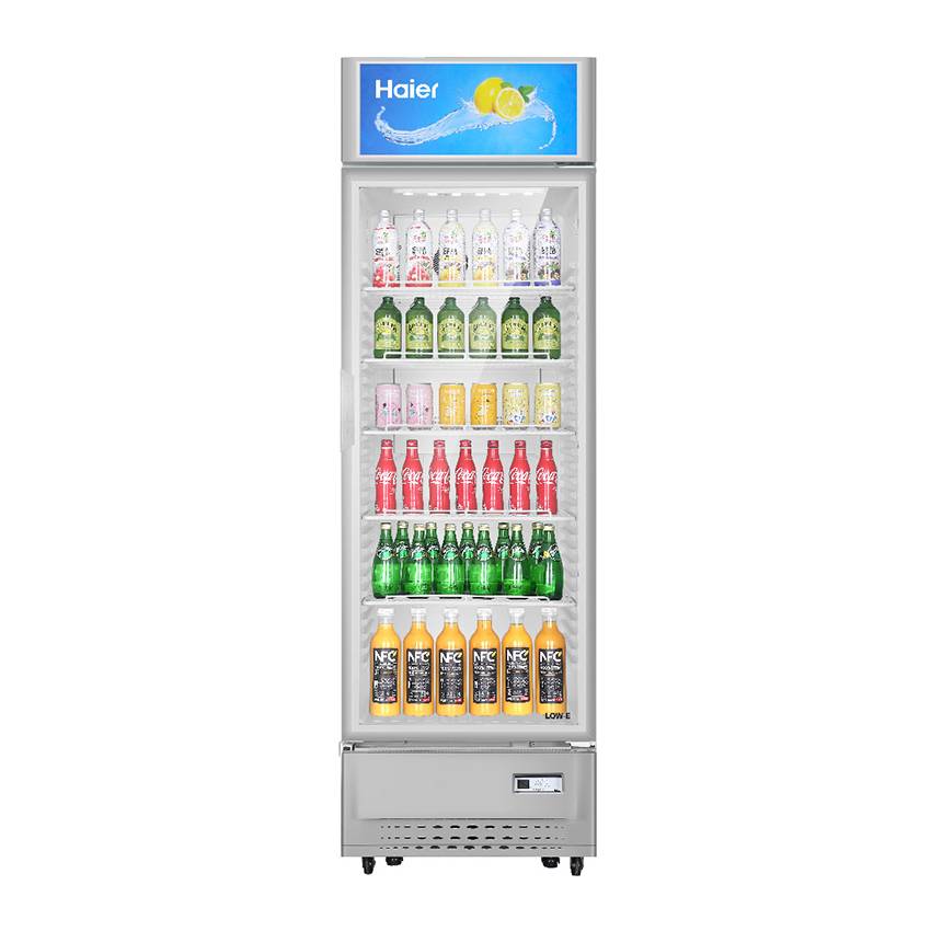 Haier 239L 1 Door Showcase Upright Chiller SC-248E | Seng Huat
